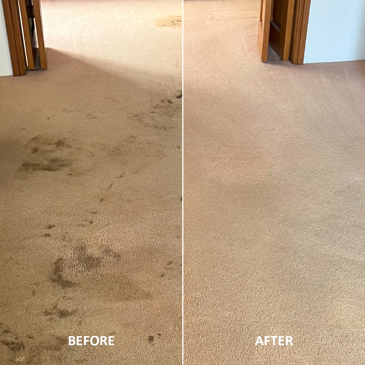 Grace Services Group | Sydney's Top Rated Cleaners